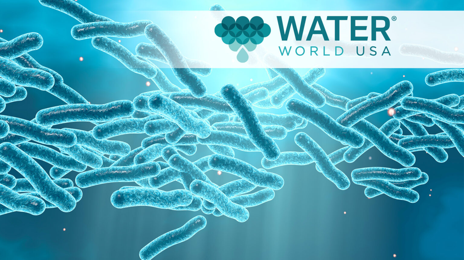 Water Filtration & Water Treatment Solutions | Waterworld USA